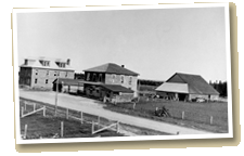 Édith Butler [parcours]